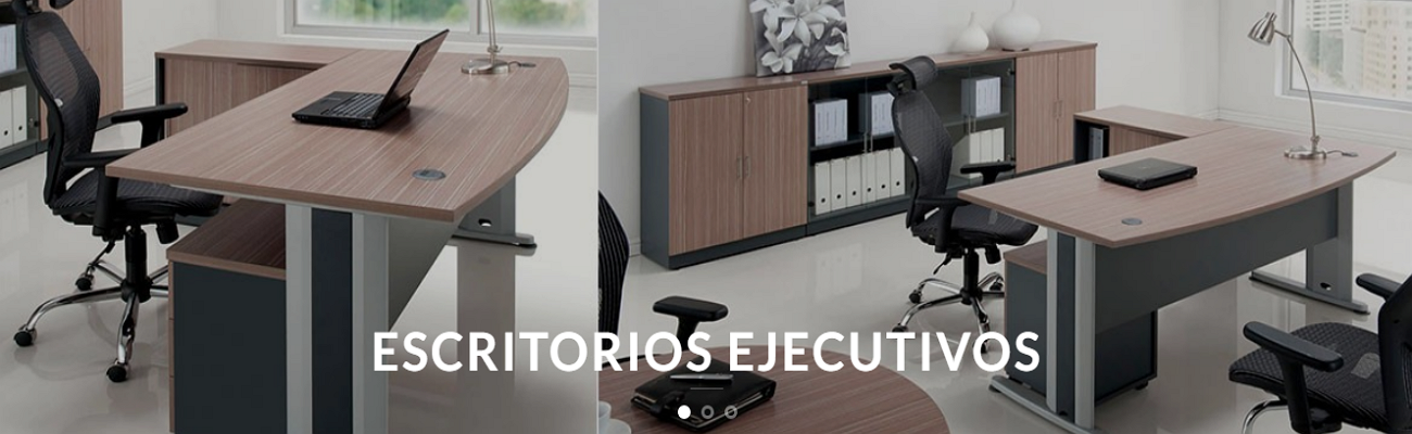 Daisol (Casa Matriz) | Construex